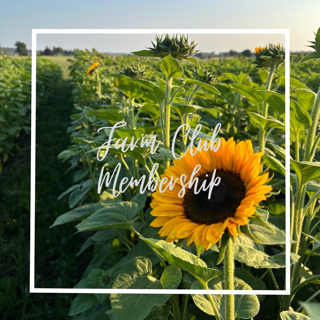 2025 Farm Club Membership | The Farmers Daughter; Flowers & More